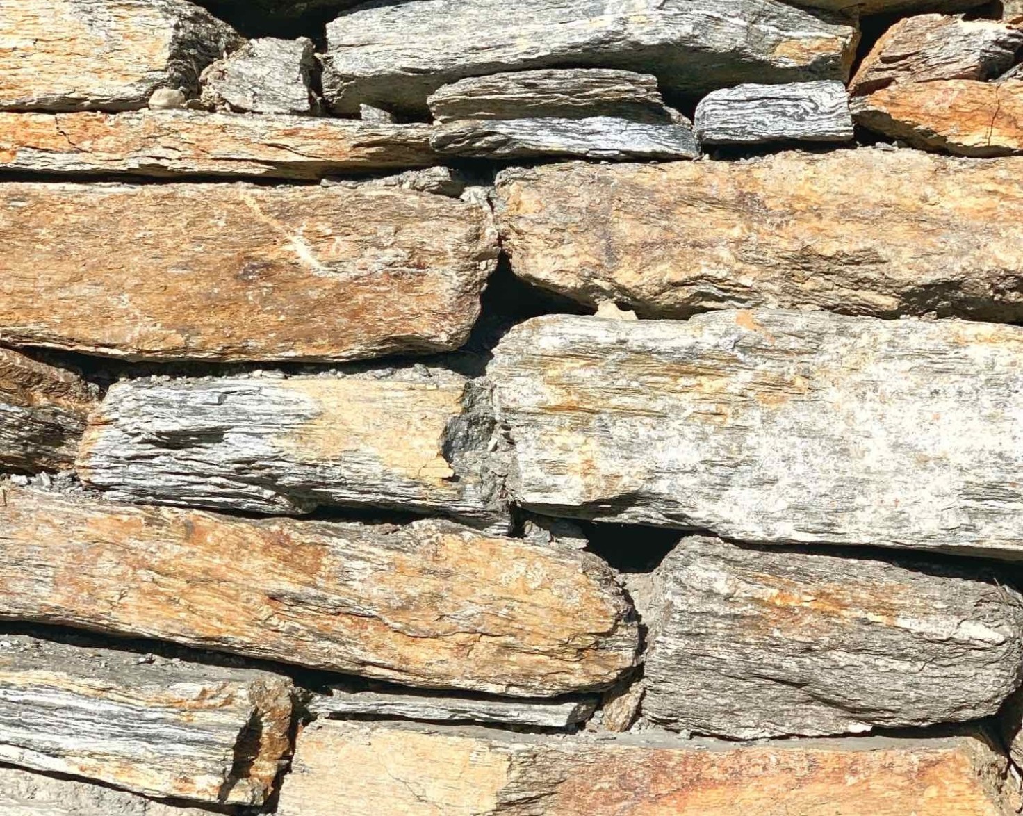 Schist Texture